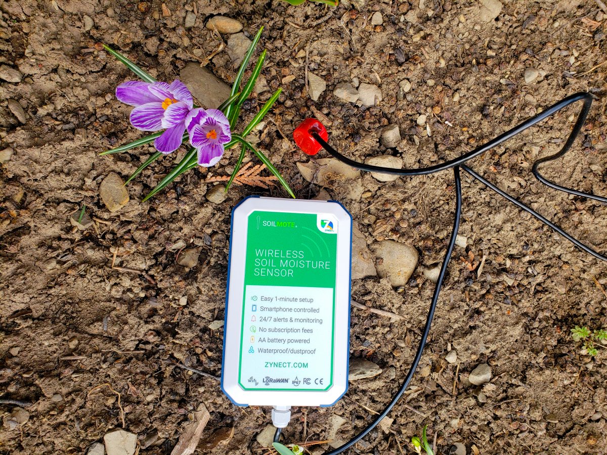 Zynect Sensors Blog | Articles Related to the Zynect Sensor Brand